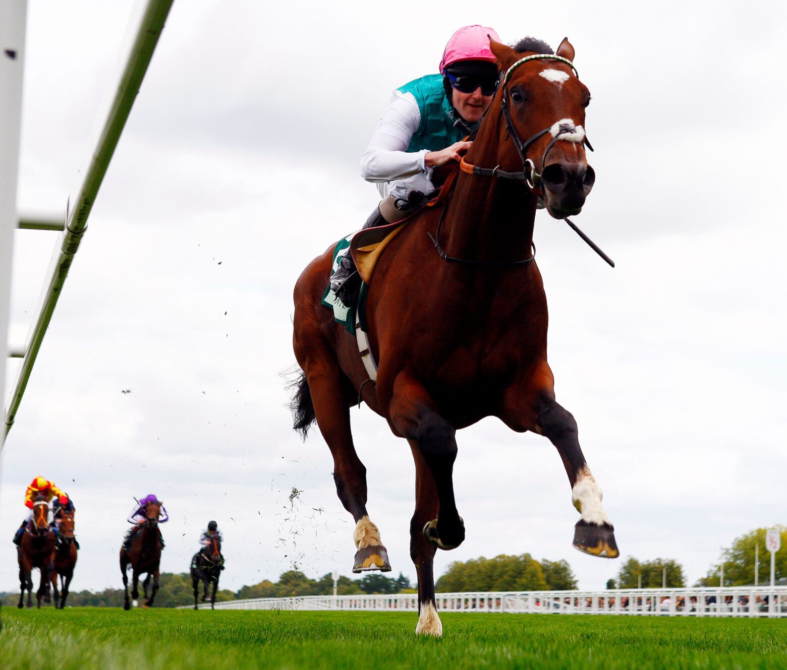 Frankel - QIPCO British Champions Series Hall of Fame