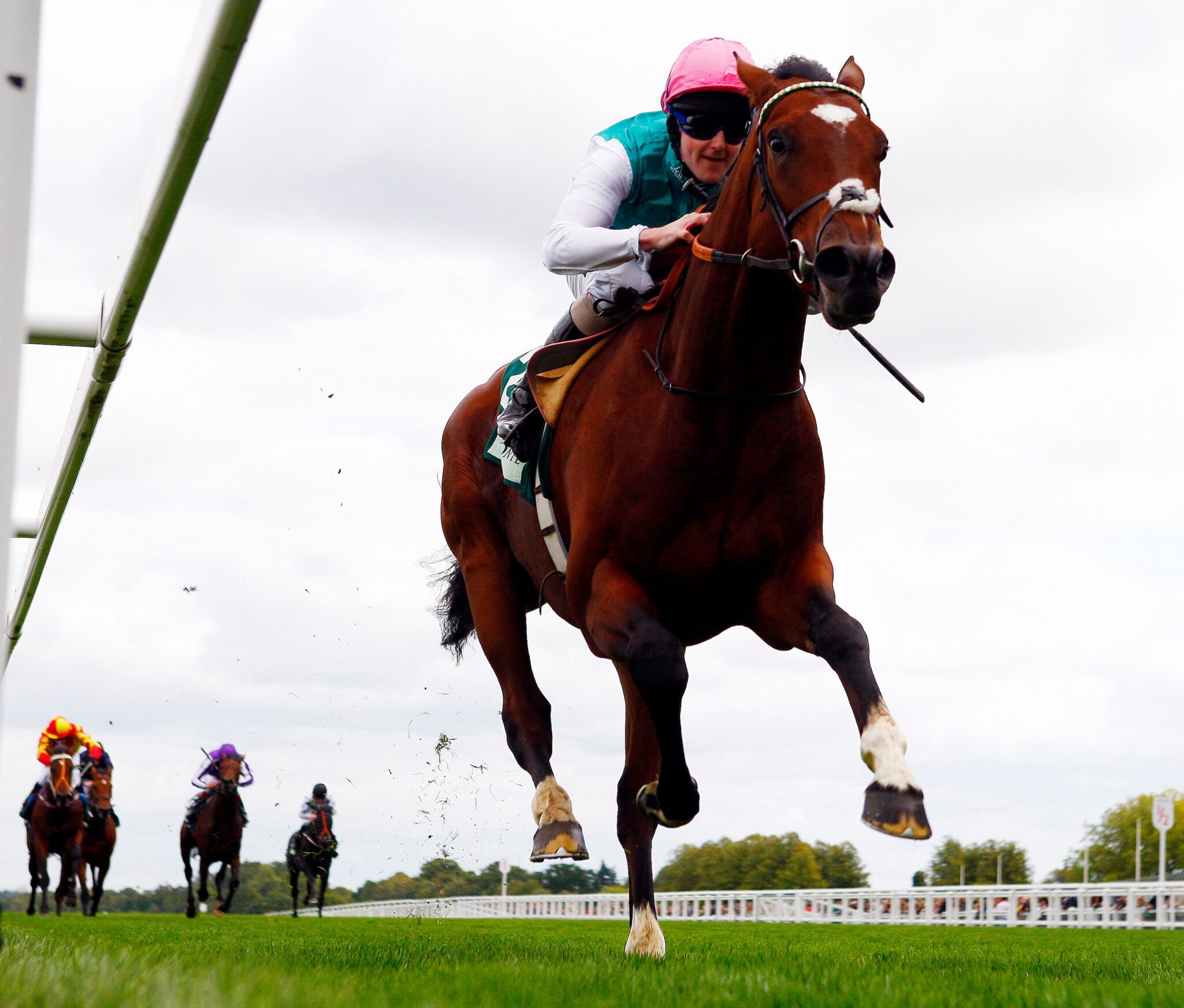 Frankel - QIPCO British Champions Series Hall of Fame