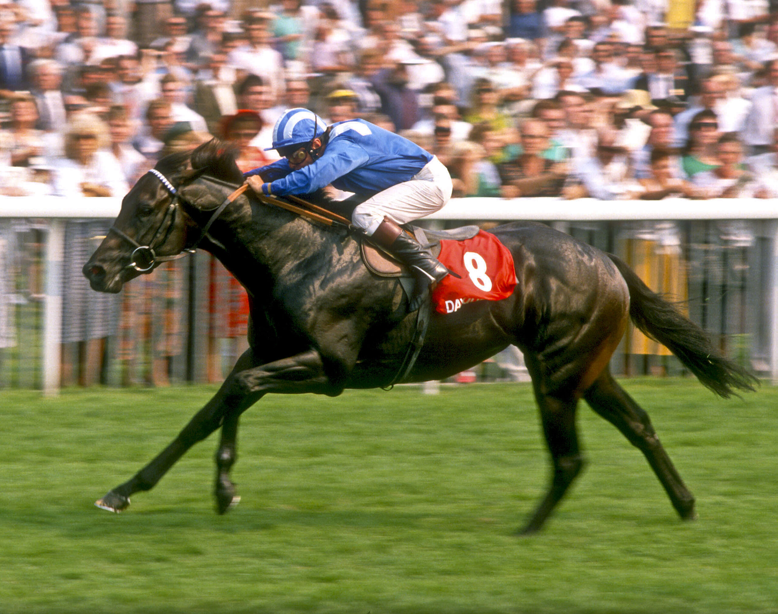 Dayjur - Hall of Famer - QIPCO British Champions Series Hall of Fame