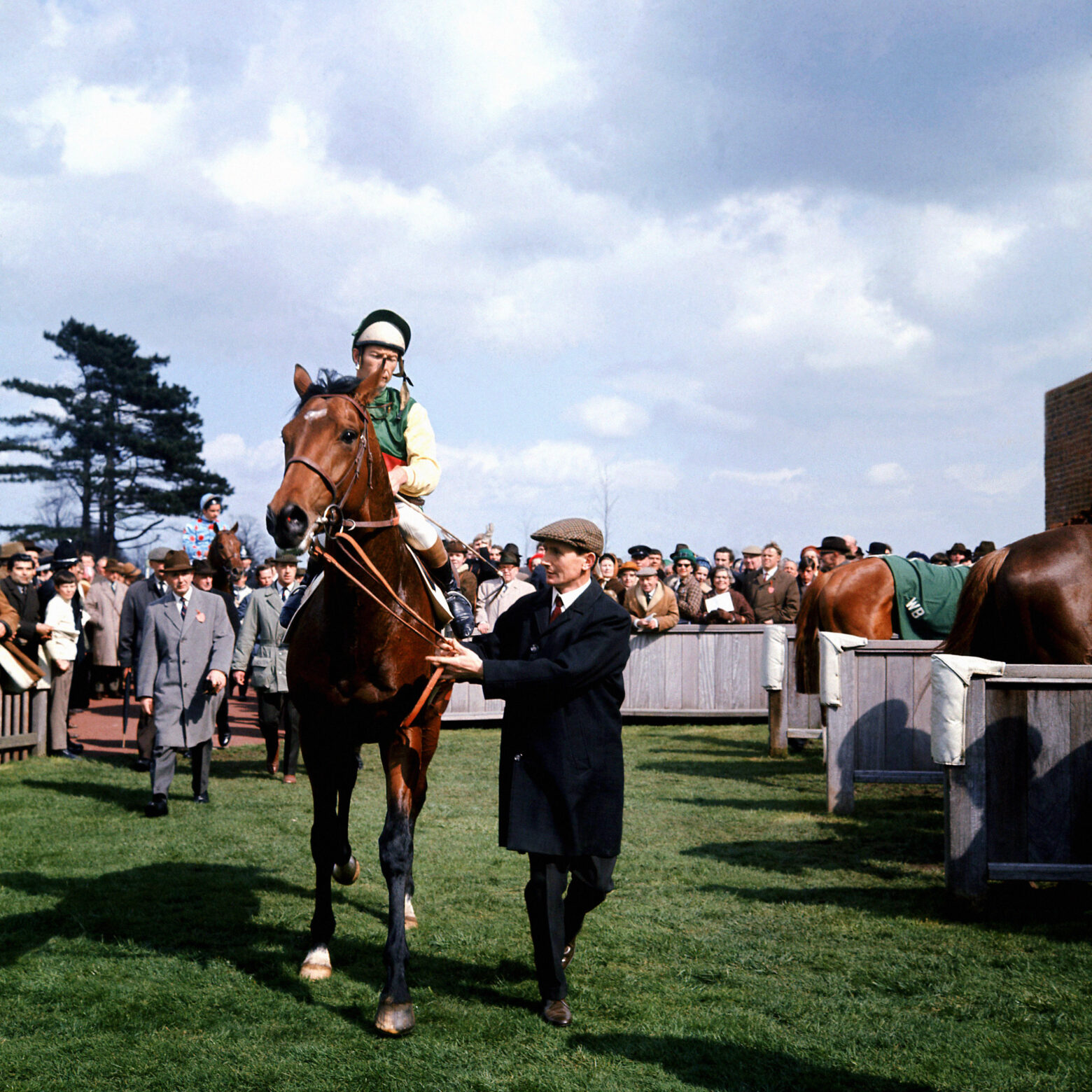 Nijinsky - Hall of Famer - QIPCO British Champions Series Hall of Fame