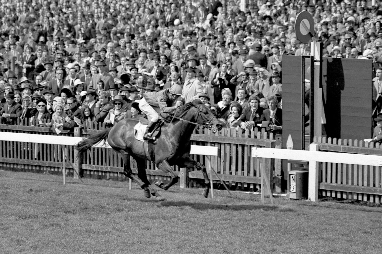 Mill Reef - QIPCO British Champions Series Hall of Fame