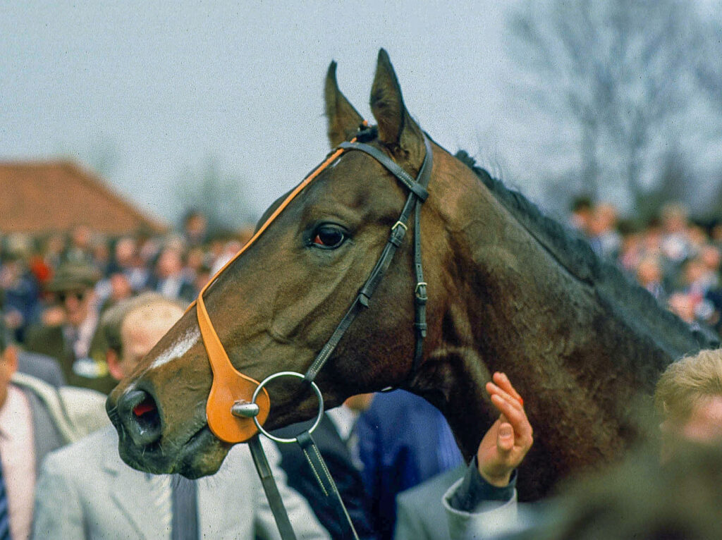 Dancing Brave - QIPCO British Champions Series Hall of Fame