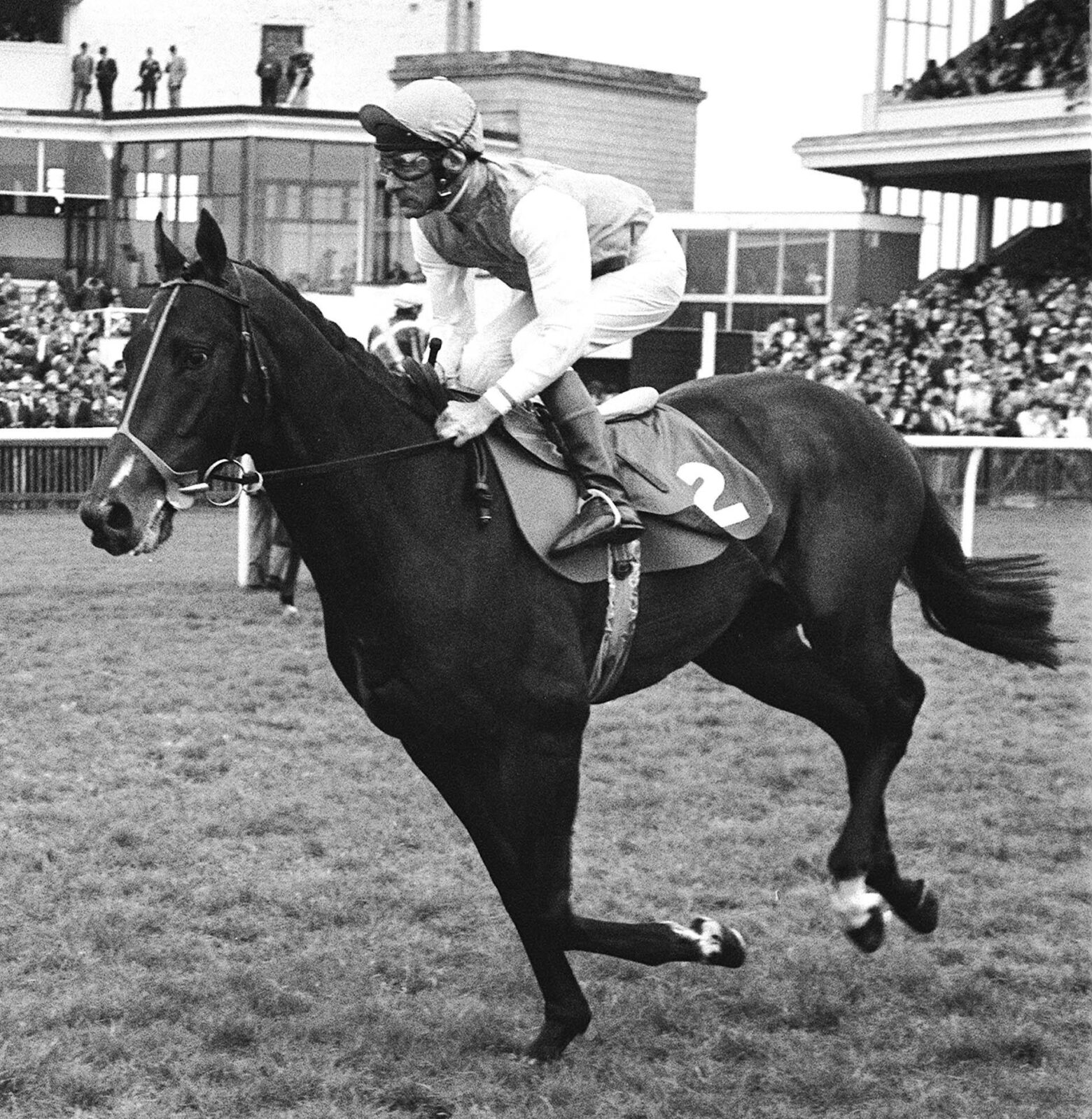 Dancing Brave - QIPCO British Champions Series Hall of Fame