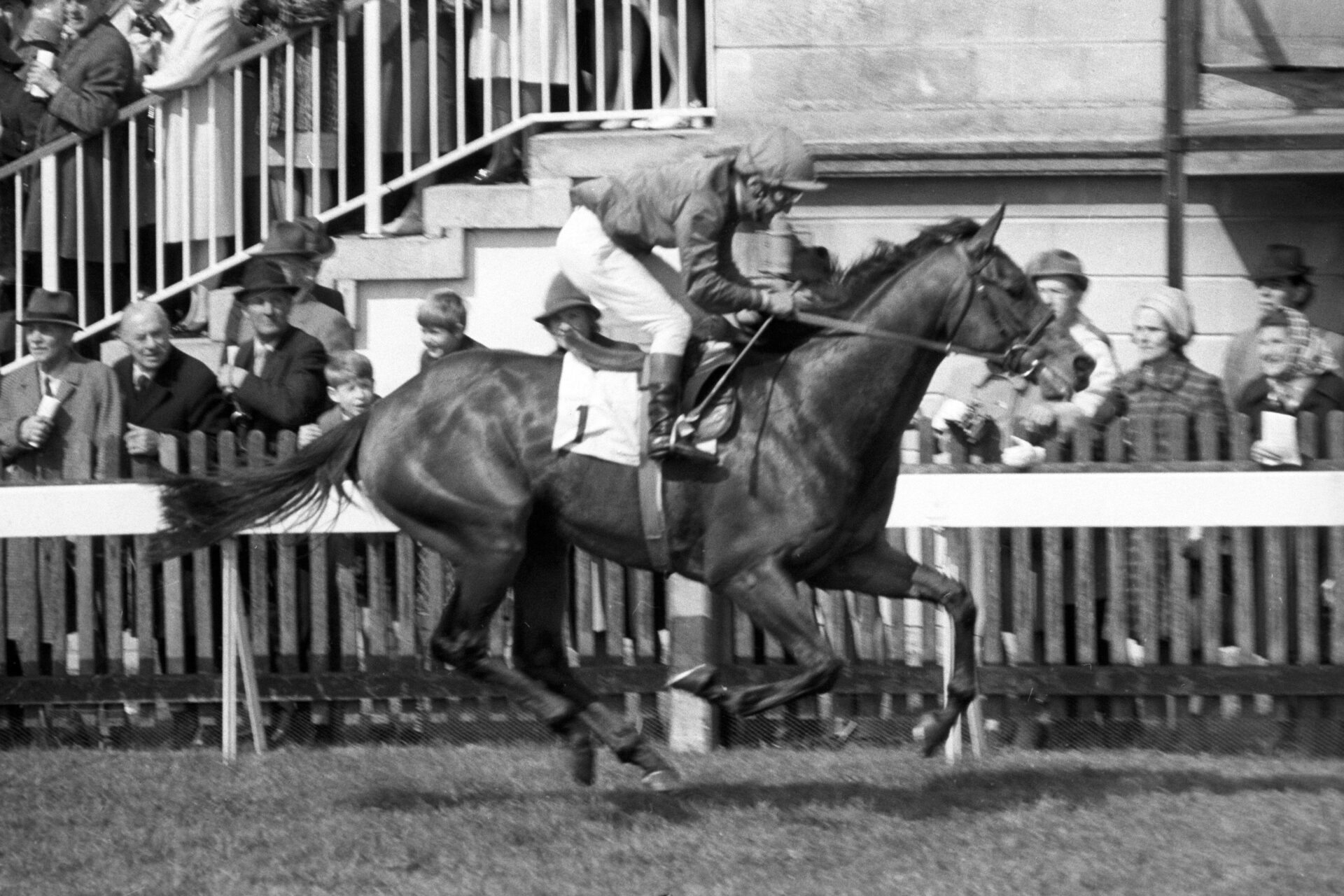 Fifty years ago on the Knavesmire, the Brigadier met his match - Hall ...