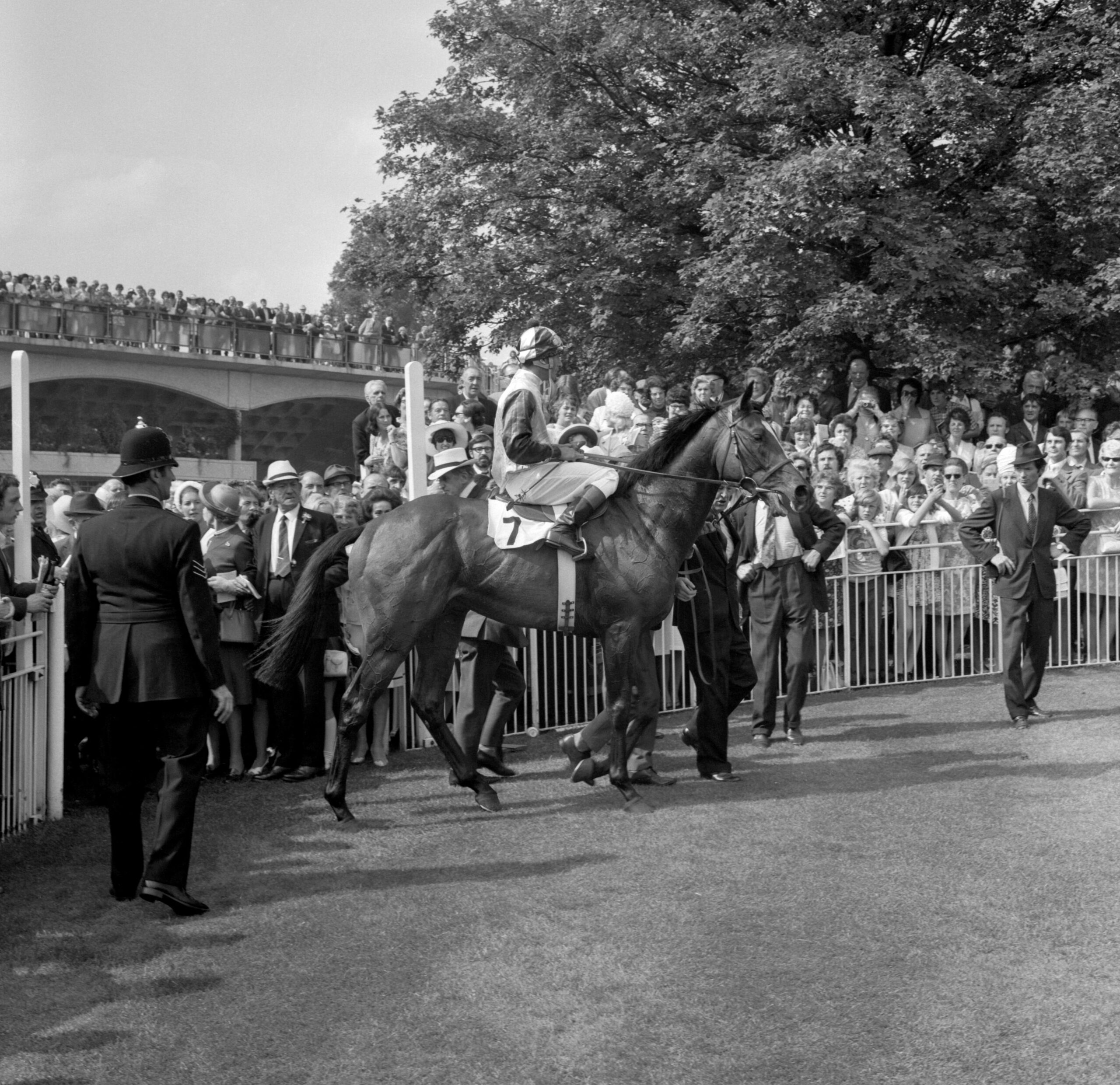 Fifty years ago on the Knavesmire, the Brigadier met his match - Hall ...