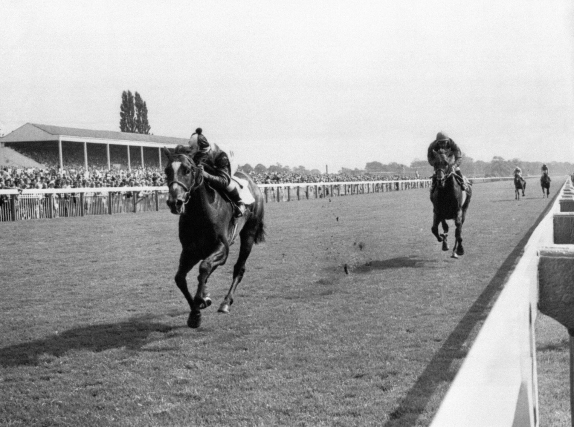 Fifty years ago on the Knavesmire, the Brigadier met his match - Hall ...