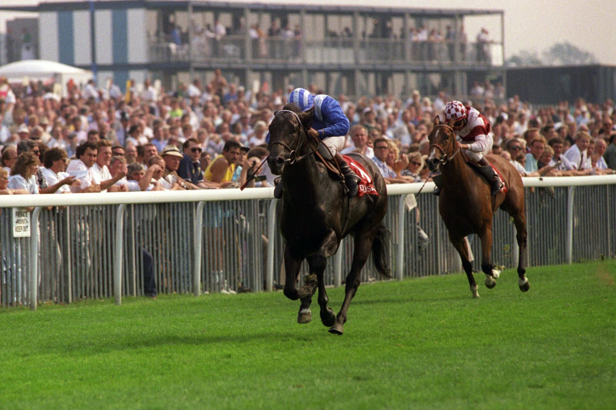 Willie Carson OBE - Hall of Fame