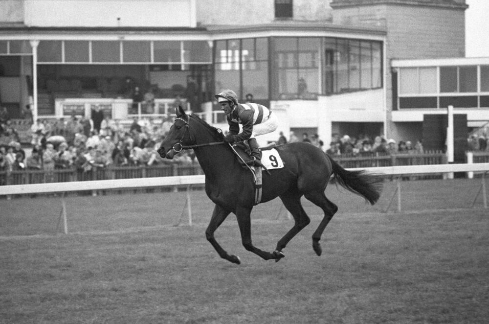 Sir Henry Cecil - Hall of Fame