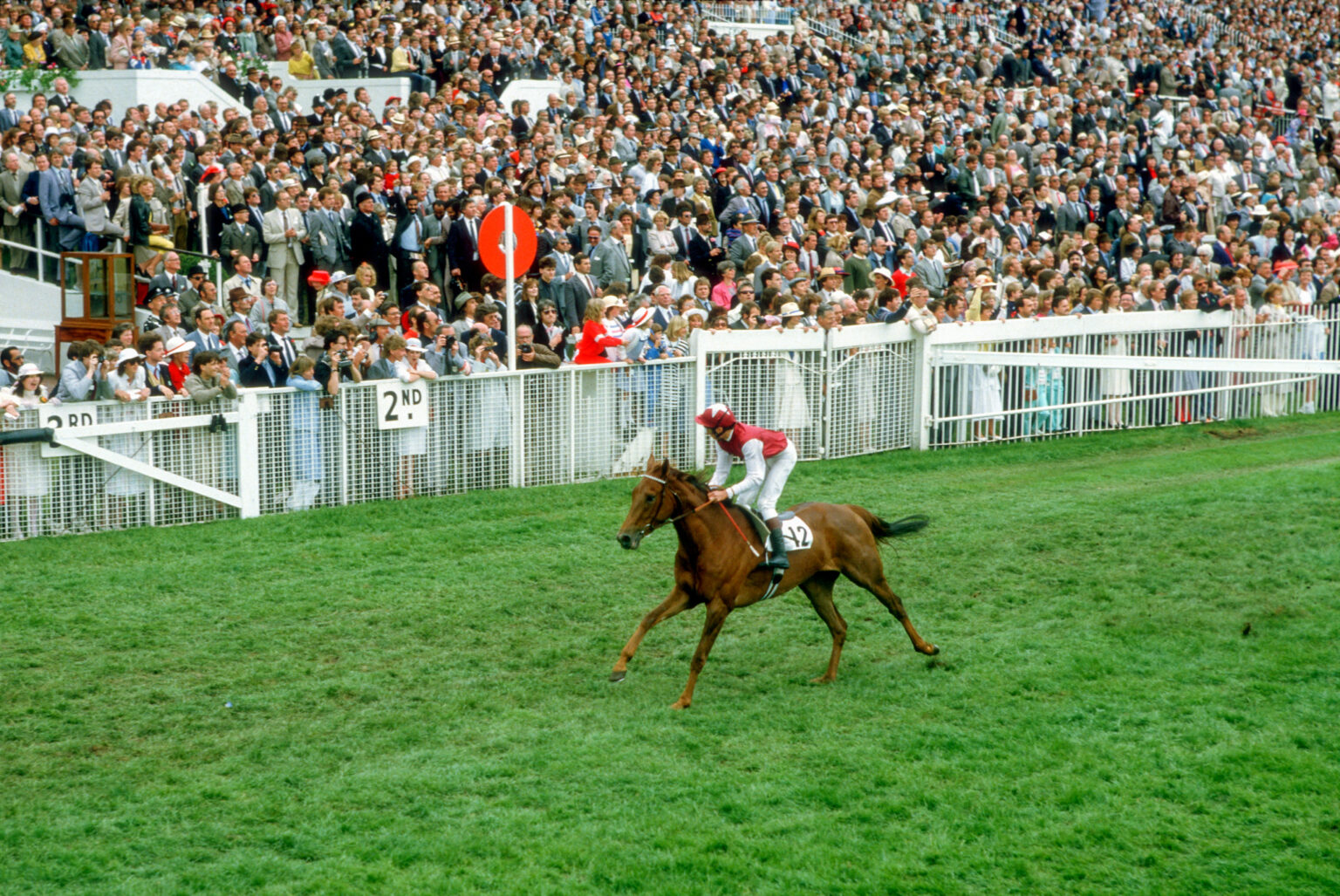 Steve Cauthen - Hall of Fame