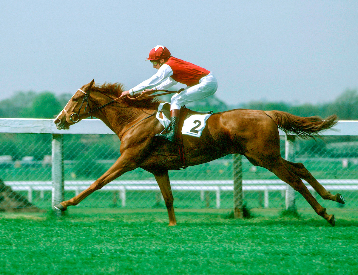 Pebbles - Hall of Fame