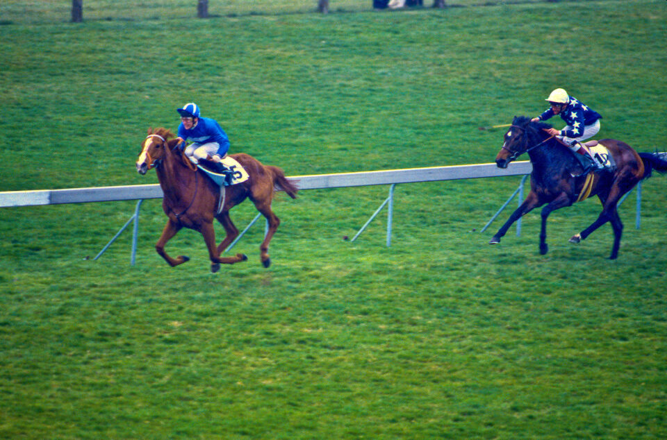 Pebbles - Hall of Fame