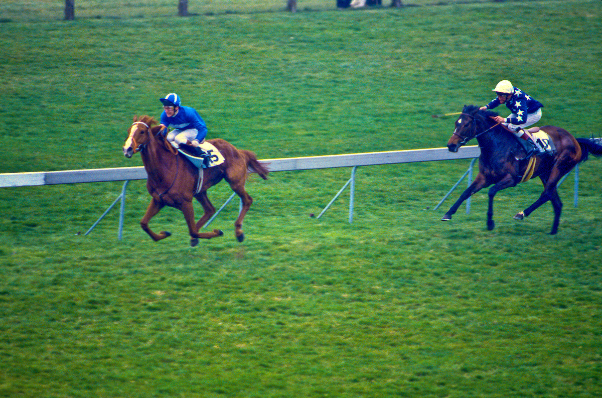 Pebbles - Hall of Fame